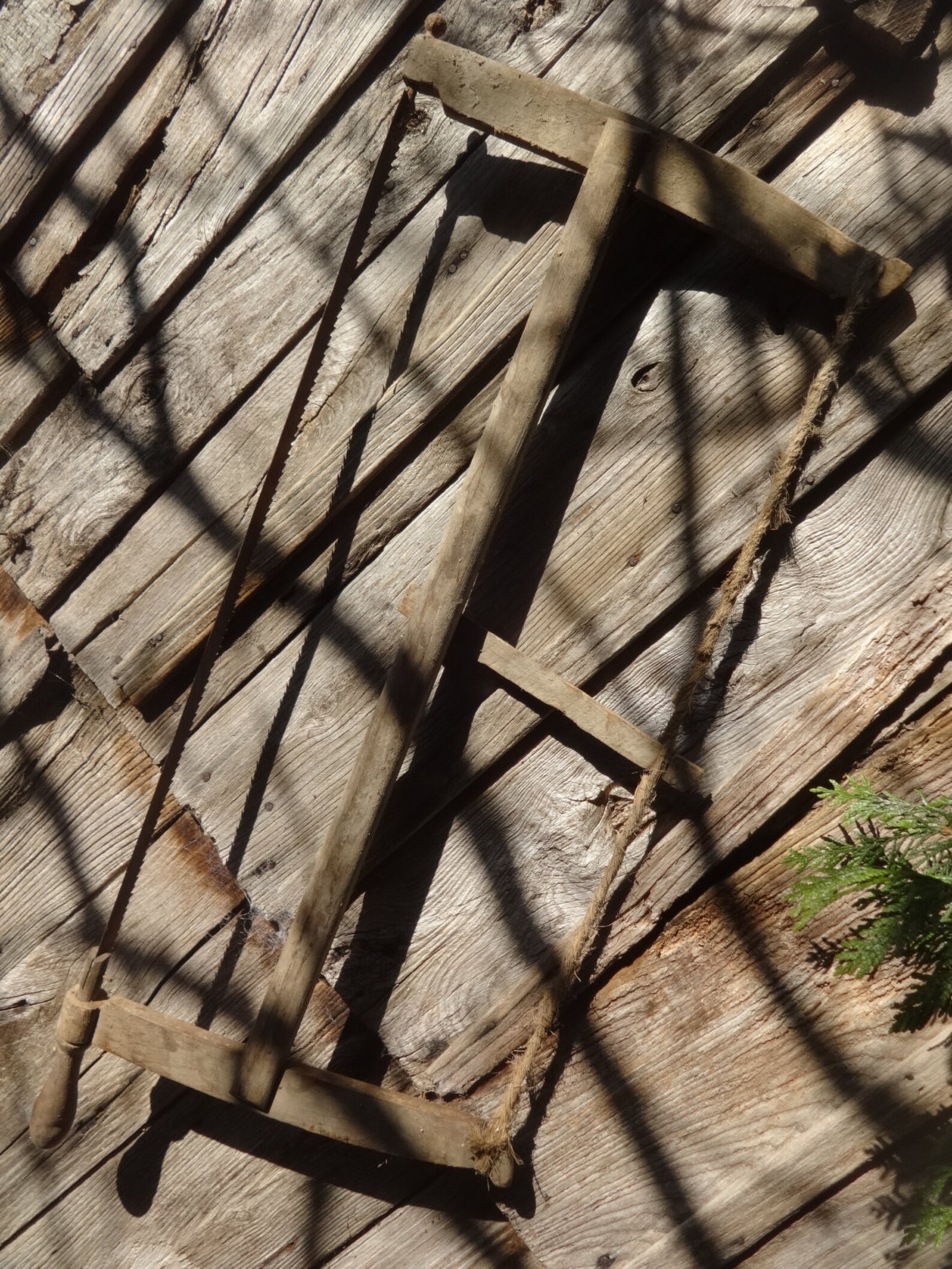 Vintage French Large Wood Saw Woodsaw One Man Lumberjack | Etsy