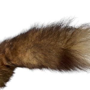 Vintage French Red Fox Taxidermy Statue Figurine Ornament - Etsy