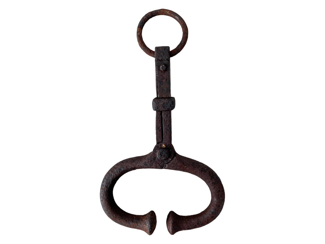 Vintage French Cow Animal Nose Ring Puller Decorative Display Livestock ...