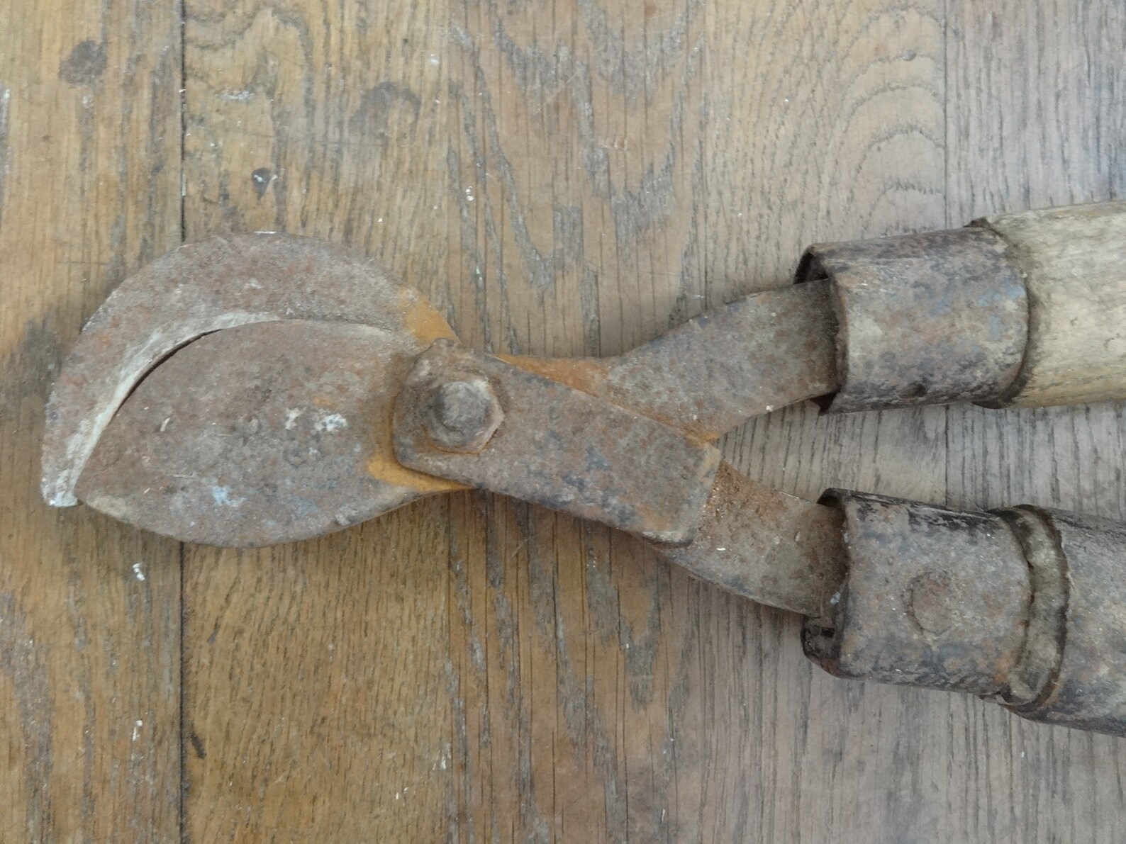 Vintage French Iron Wood Grape Vine Grapevine Cutting Shears - Etsy