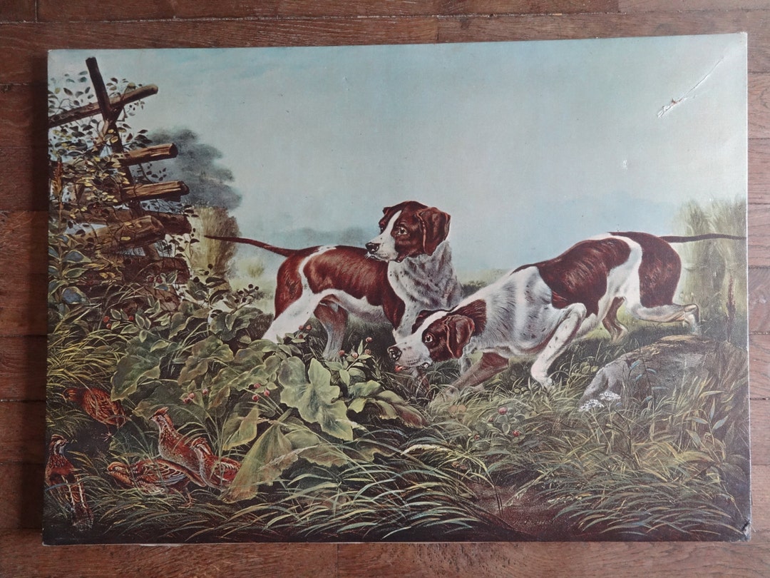 Vintage French Print Dogs Hunting Game Bird Wallhanging Circa 1950-60's ...