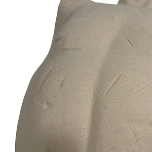 Vintage French Male Torso Mannequin Styrofoam Hard Foam Lifesize Dummy ...