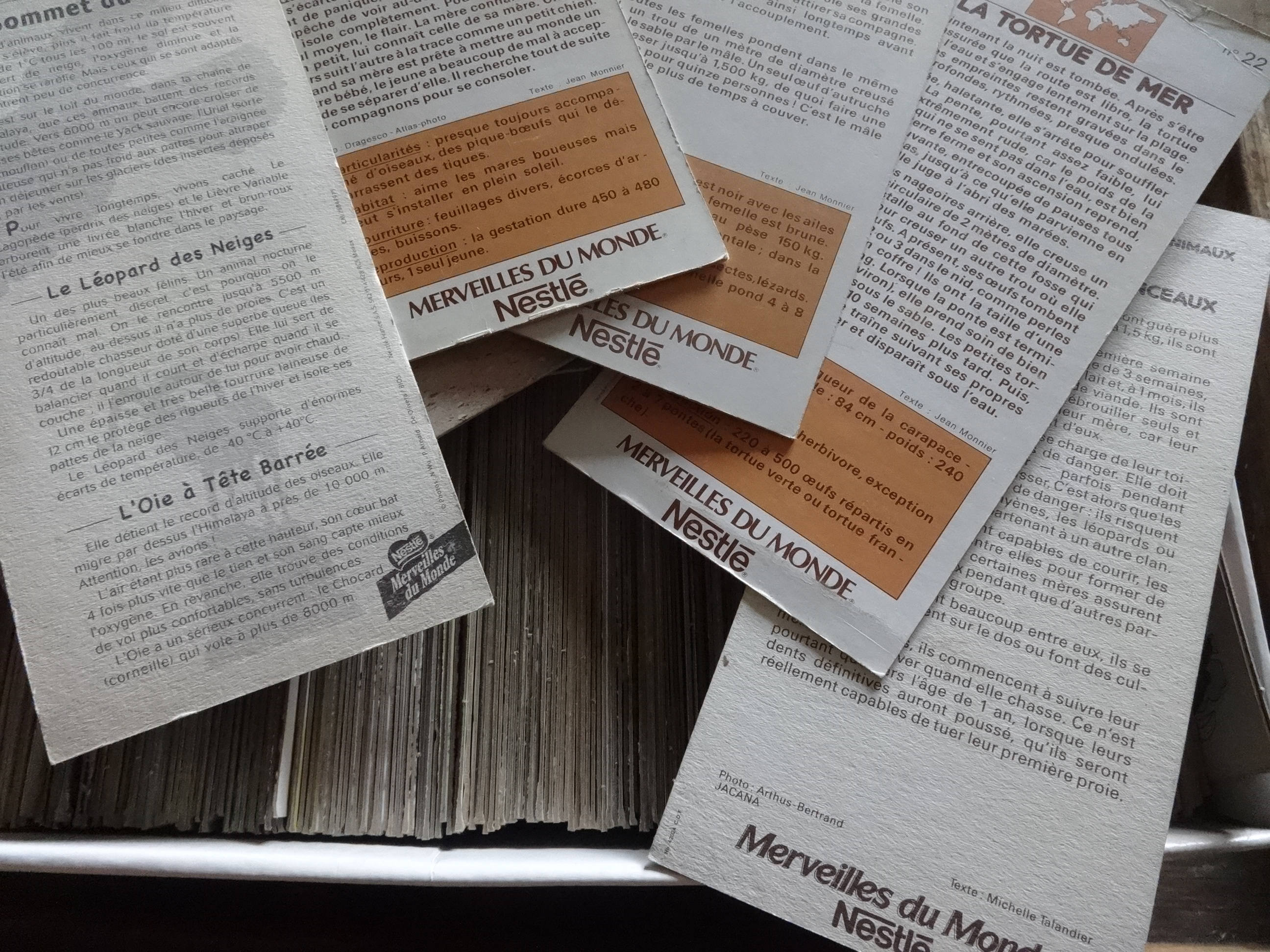 Vintage French 300 Nestle Merveilles Du Monde Wonders Marvels | Etsy