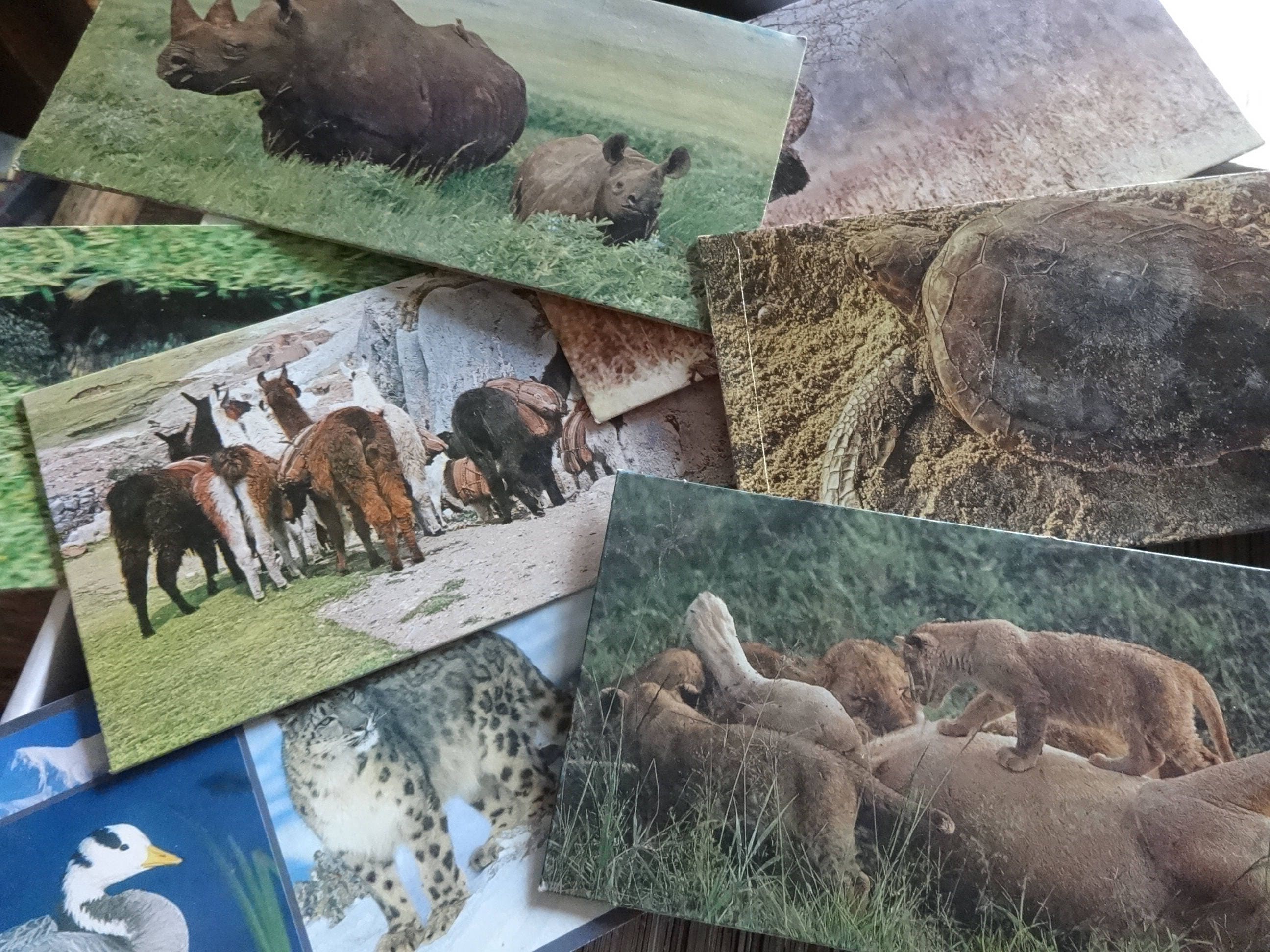 Vintage French 300 Nestle Merveilles Du Monde Wonders Marvels | Etsy