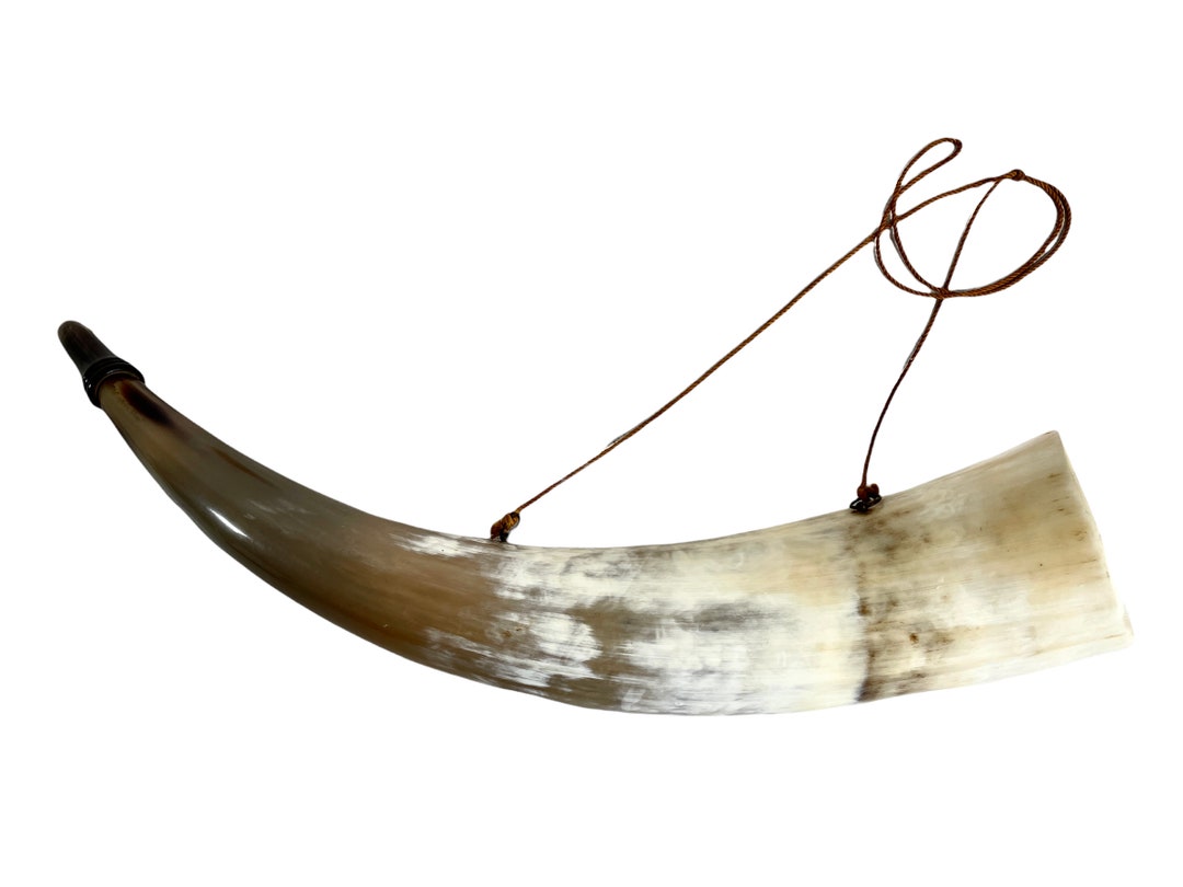 Vintage French Horn String Hanging Loud Instrument Warning Protesting ...