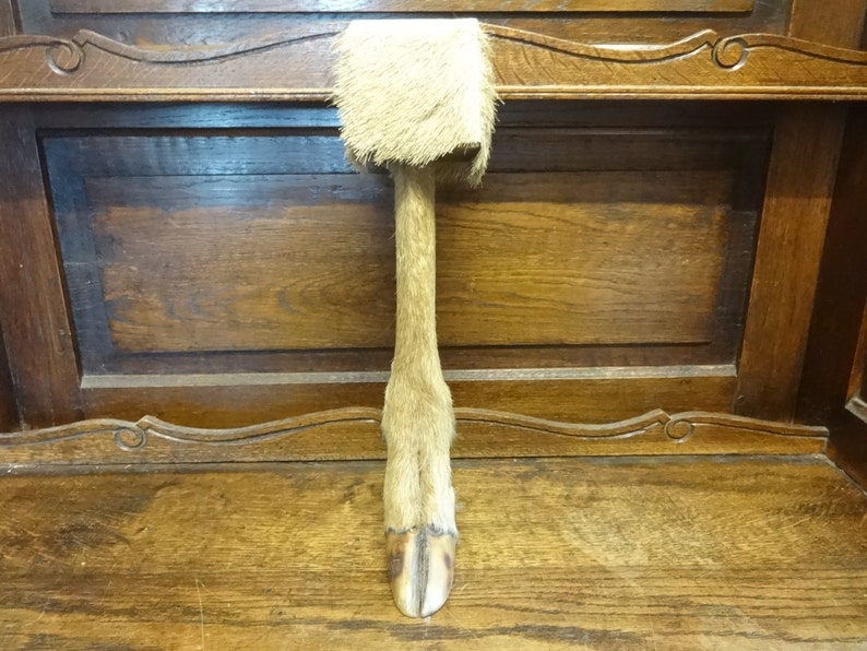 Vintage French Deer Hoof Table Leg Furniture Decor Object | Etsy