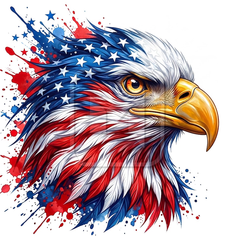 American Eagle Design | USA Flag Patriotic Solid PNG | White Background ...