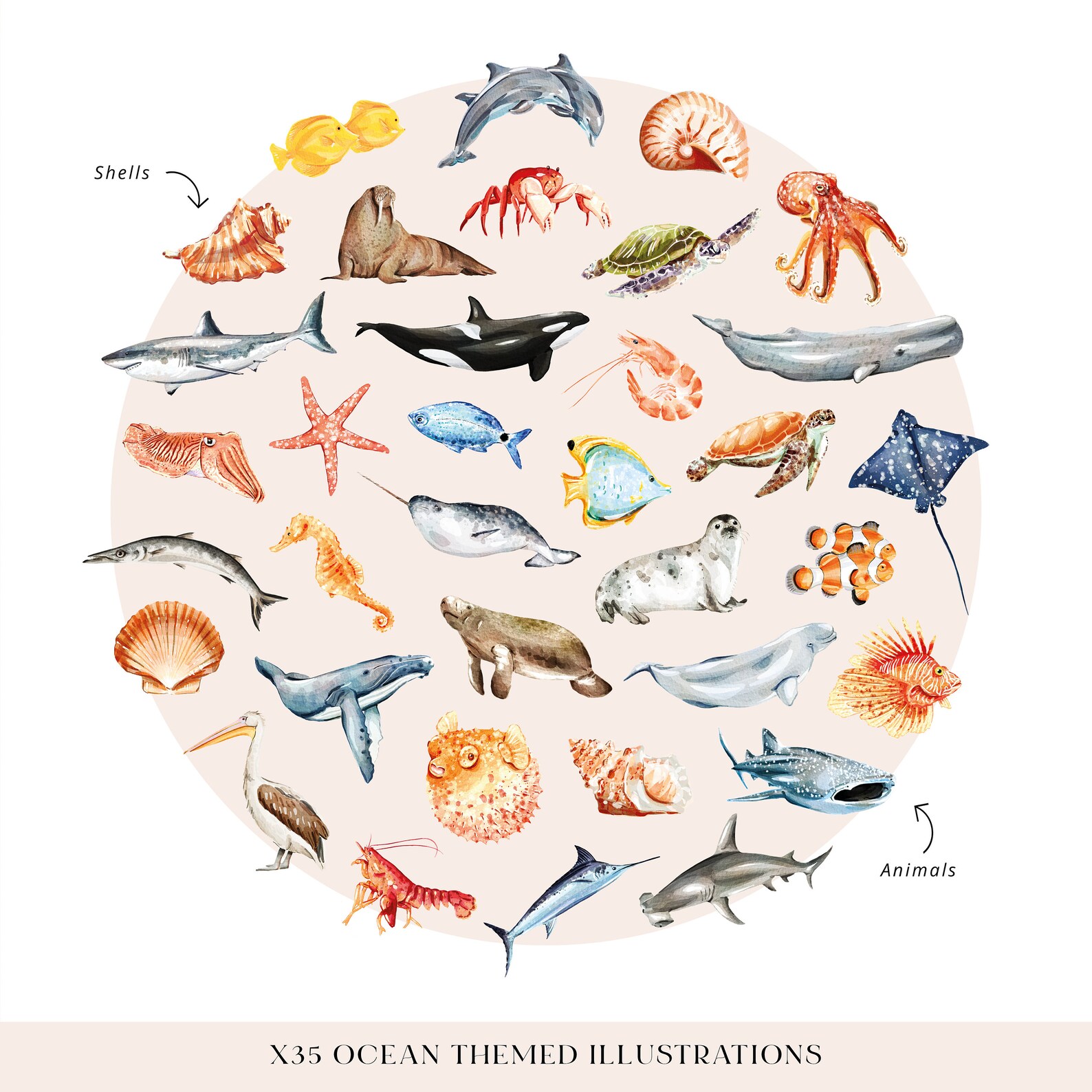Editable Wedding Table Plan Cards. Sealife Seating Chart Cards With ...