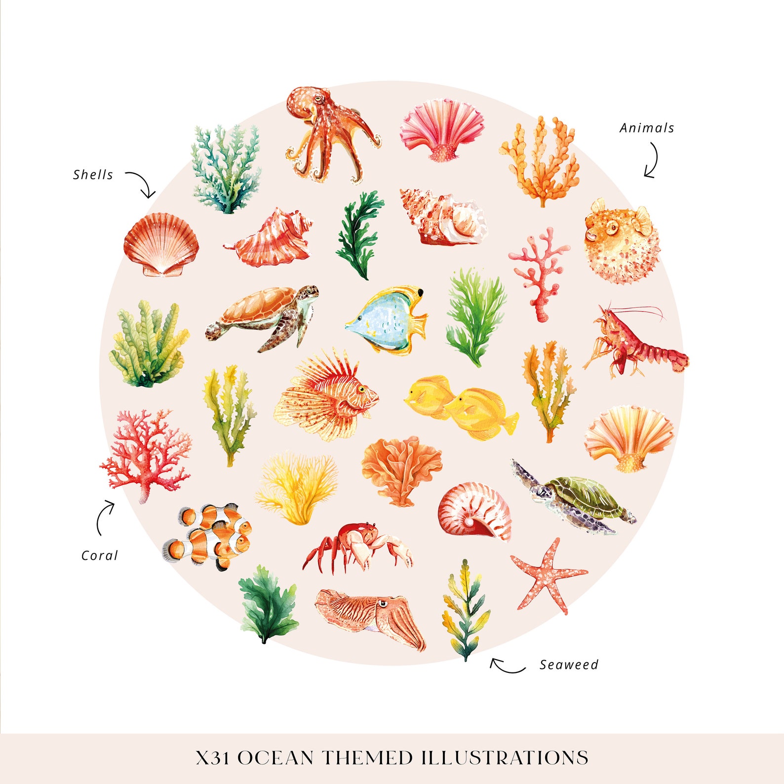 Editable Wedding Table Plan Cards. Small Sealife Seating Chart Cards ...