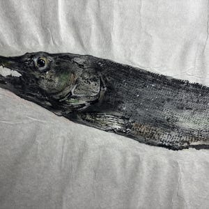 Gyotaku Pike Fish Print: Unique Japanese Fish Art - Etsy