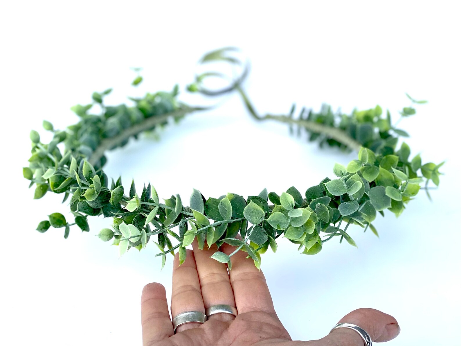 Green Eucalyptus Leaf Crown Headpiece Toga Costume Sage - Etsy