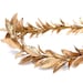 Mens Gold Leaf Crown, Roman Leaf Laurel, Gold Leaf Garland, Greek God ...