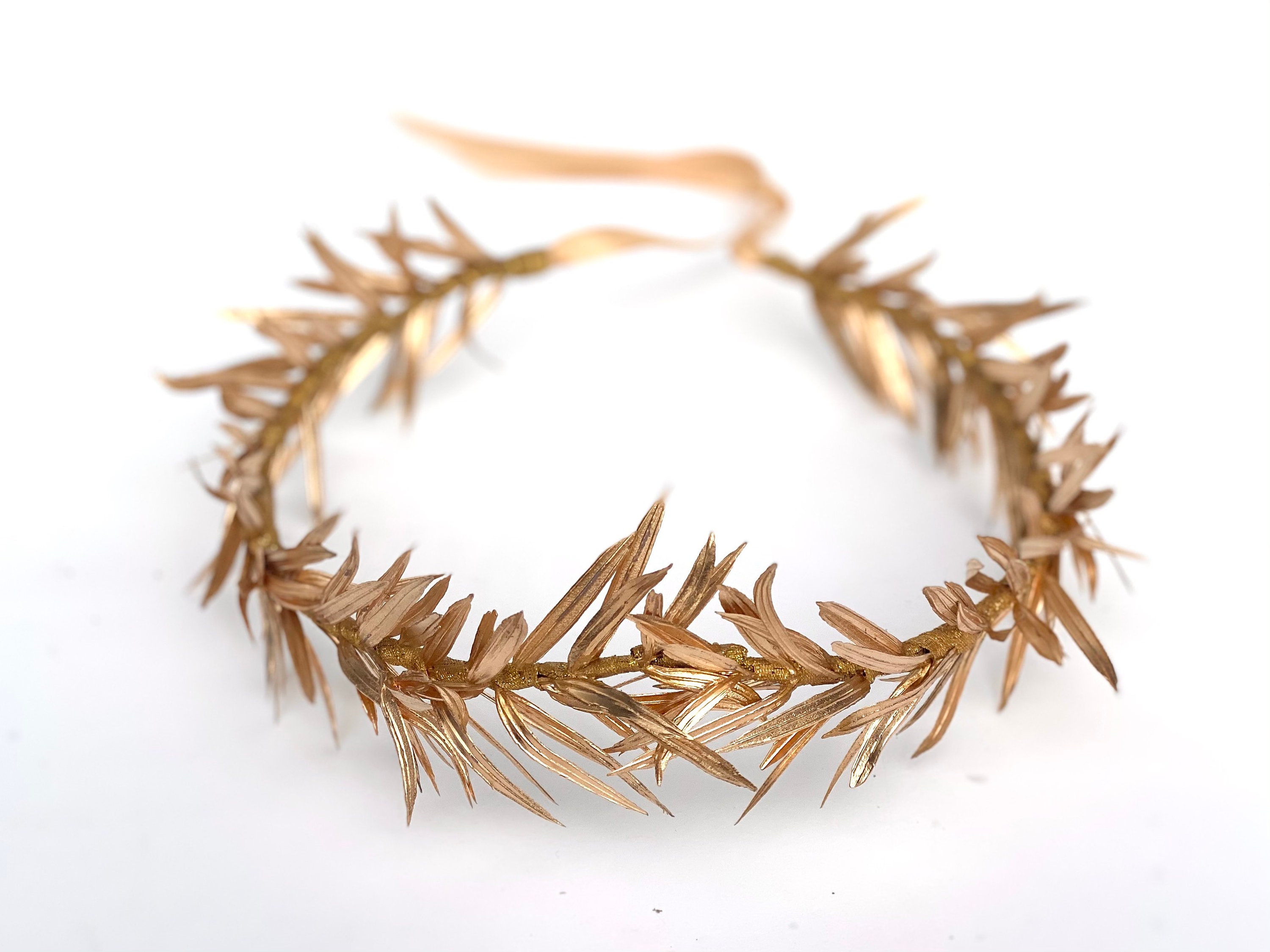 Men's Gold Leaf Crown Greek God Roman Toga Costume - Etsy Canada