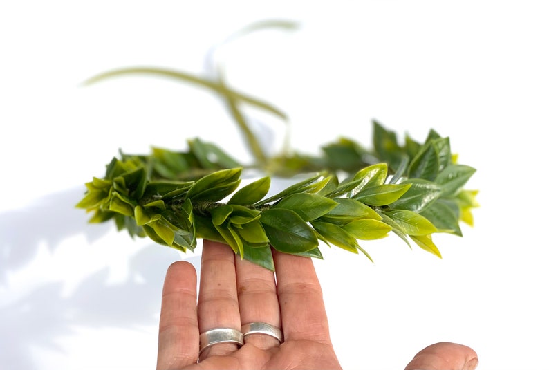 Green Leaf Laurel Crown Greek God Headpiece Roman Myrtle - Etsy