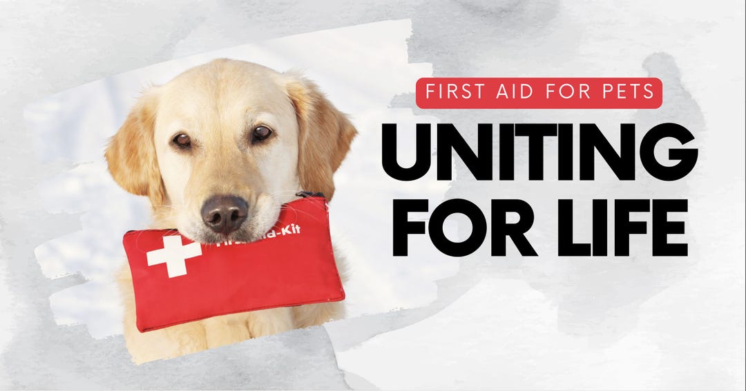 Pet First Aid Printable Guide – Emergency Care for Dogs & Cats ...