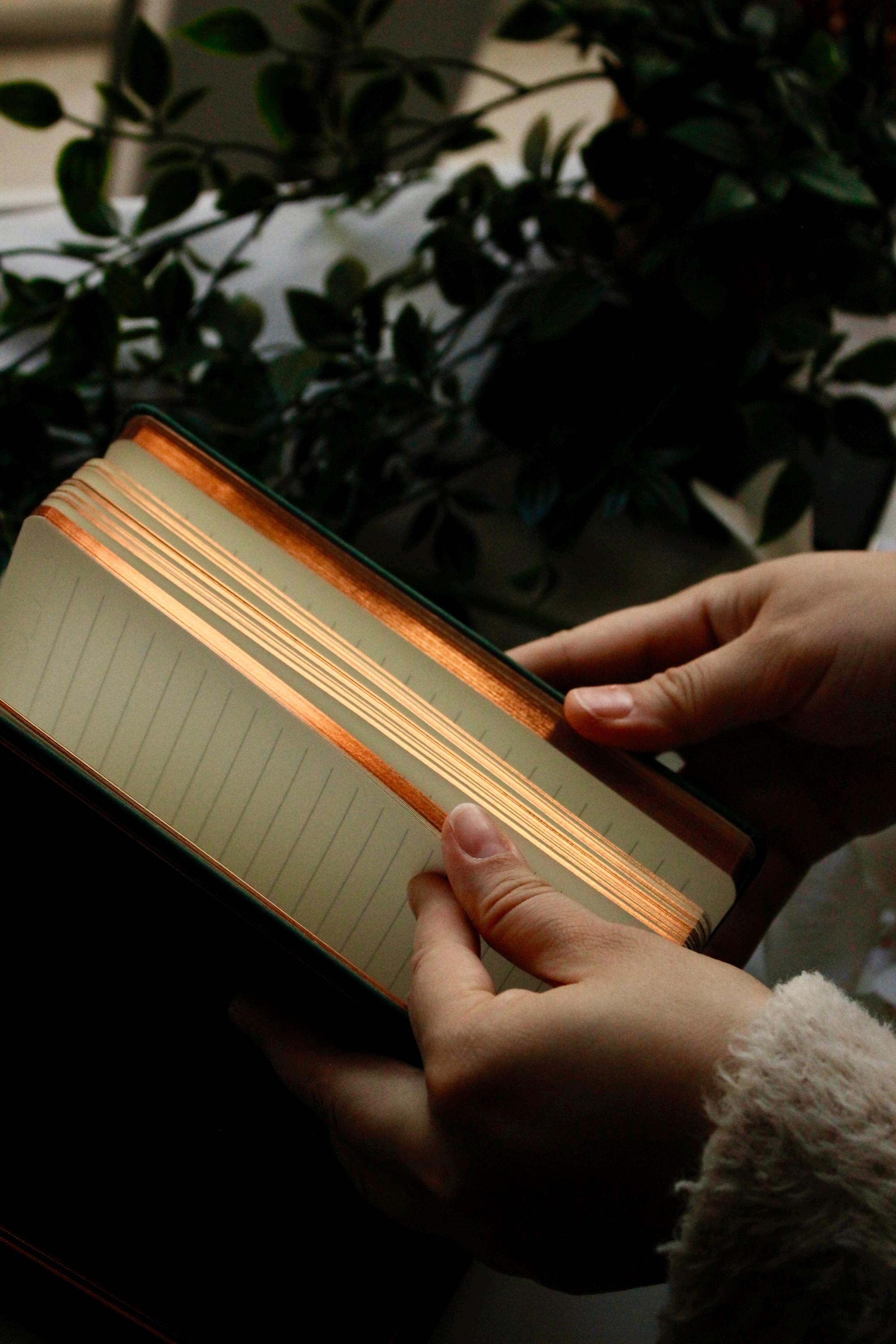 Hardcover Journal, Lined Notebook With Gilded Edges, 320 Pages, Brown ...