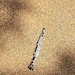 Handmade Mini Clarinet - Etsy