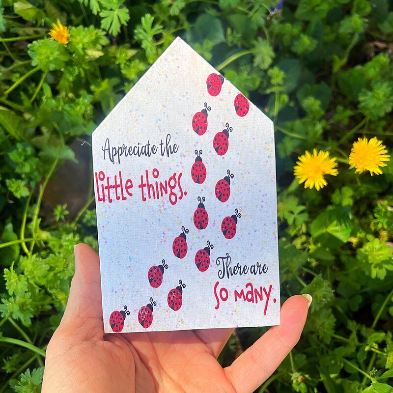 Ladybug House - Etsy