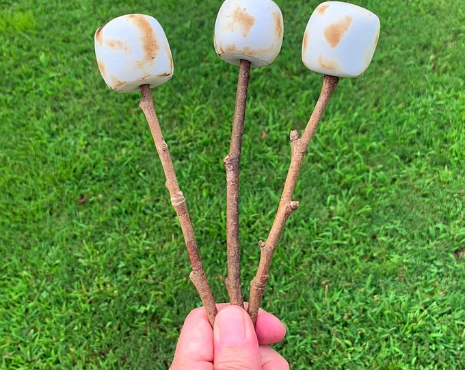 Faux Spring Marshmallow Buddy, Spring, Butterfly, Tiered Tray Decor ...