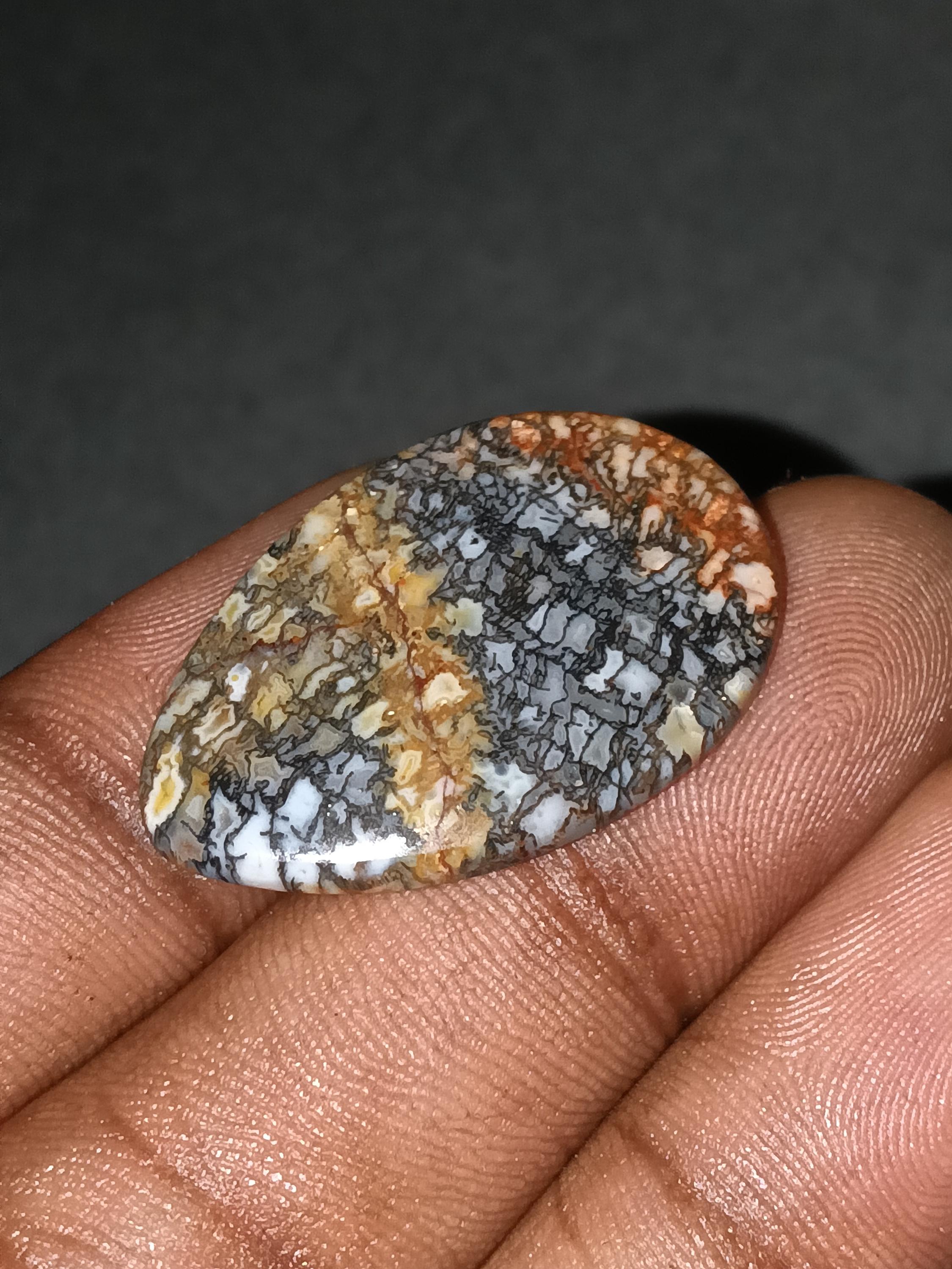 20 Cts. Dinosaur Bone - Red & Yellow Fossil Dinosaur Bone Cabochon ...