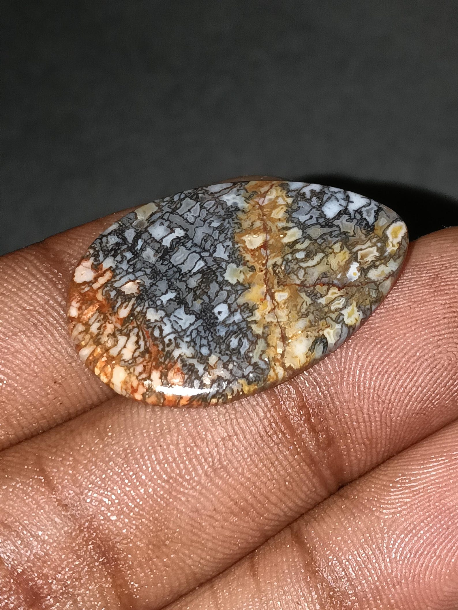 20 Cts. Dinosaur Bone - Red & Yellow Fossil Dinosaur Bone Cabochon ...