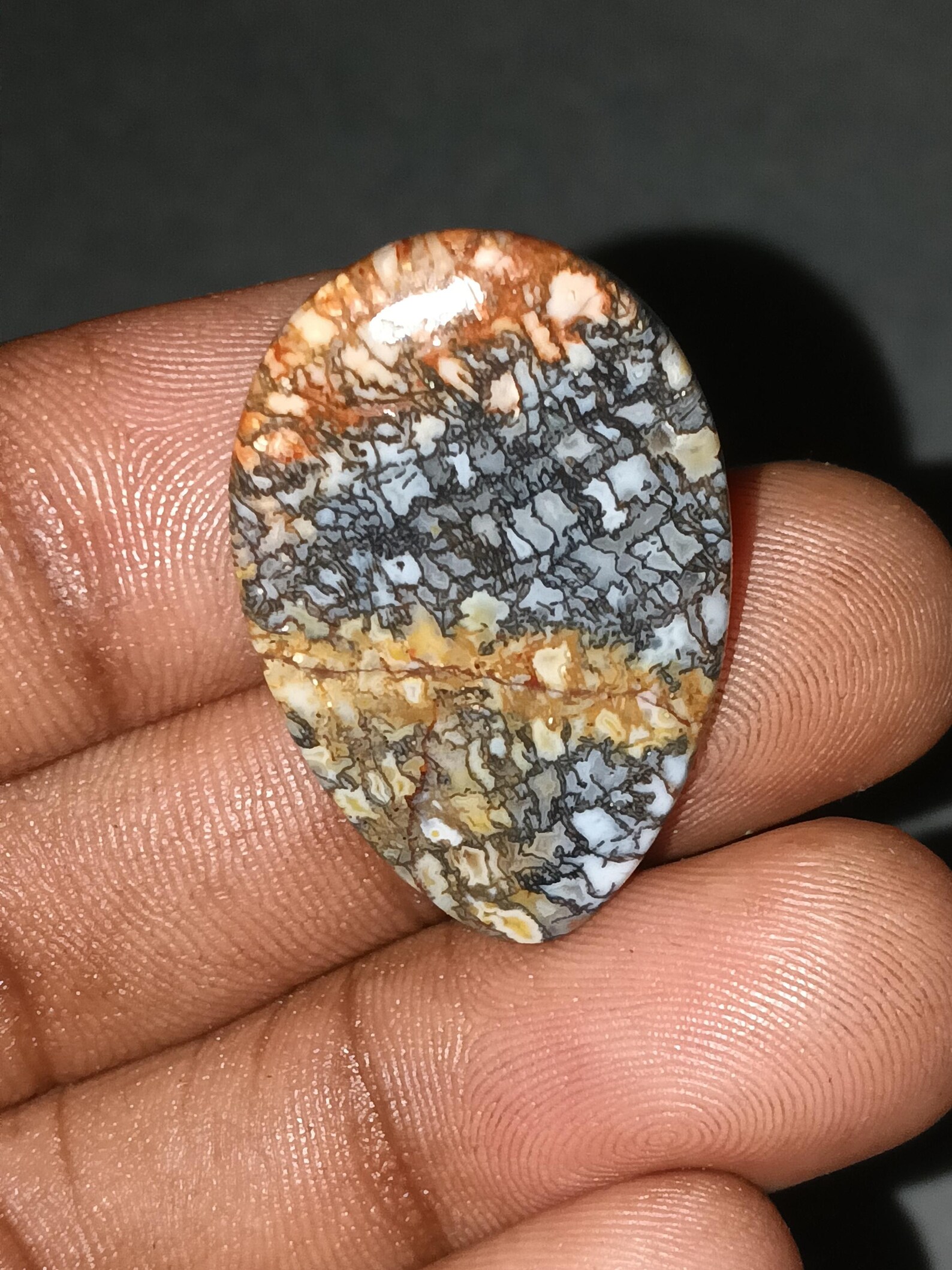 20 Cts. Dinosaur Bone - Red & Yellow Fossil Dinosaur Bone Cabochon ...