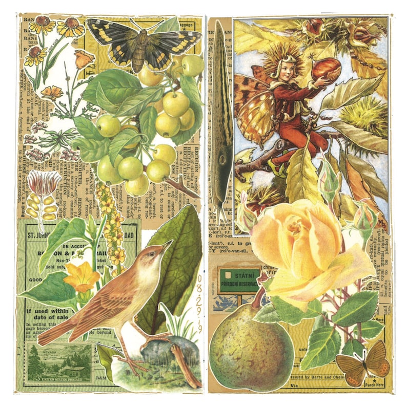 Artist in Focus: the Collage Art of Constance Rose - Etsy