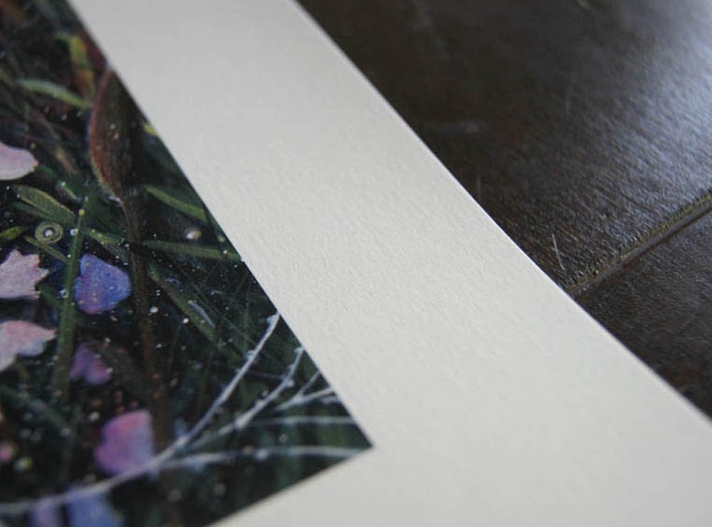 Spring & Autumn Dreams, 8x10 Fine Art Print, Fantasy Fairy-tale Nursery ...