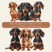 Cute Dachshund Clipart Bundle | Sausage Dog Art | Digital Download for ...