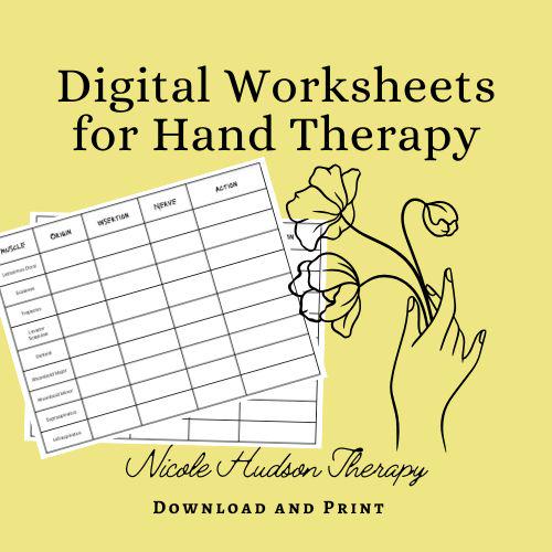 Upper Extremity Muscle Chart for Studying - Etsy
