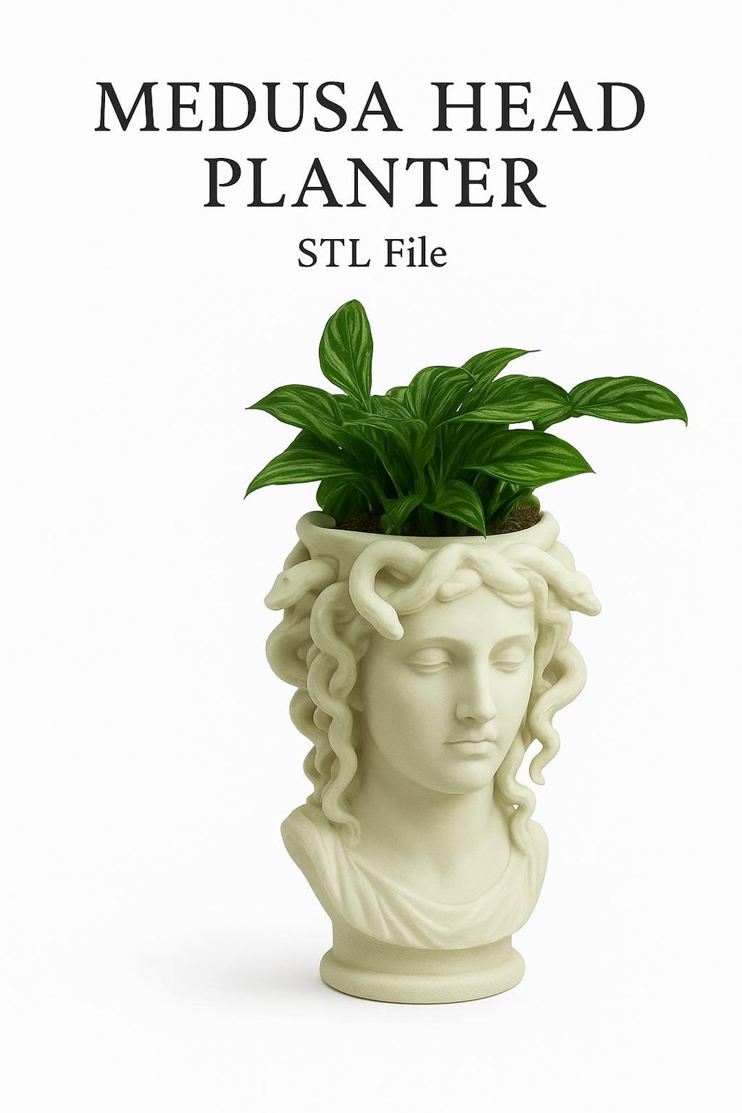 Medusa Head Planter STL File: Mythology Decor (3D Print Digital ...