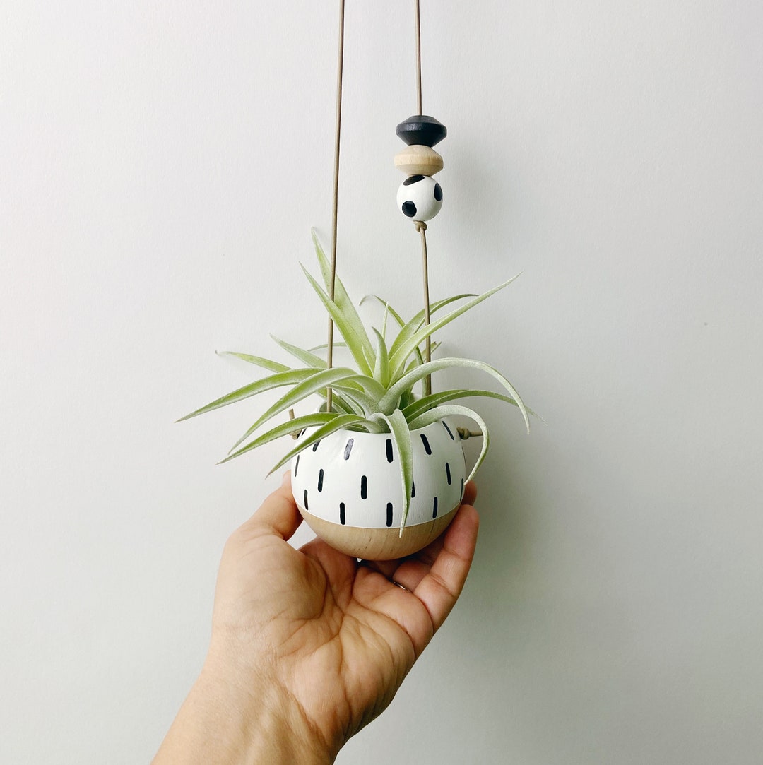 Mini Hand-painted Hanging Planter Succulent Planter Air - Etsy