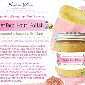 Organic Peppermint Sugar Lip Polish Exfoliator Scrub / Manuka Honey ...