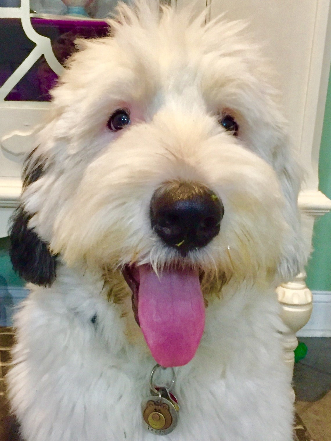 Custom Bear Dog ID Tag, Pet ID Tag, Personalized Bear ID Tag, Dog Tag ...