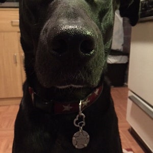 Sheriff Star Tag -pet ID Tag- Mixed Metal Ranger Star for Dogs-cute ...