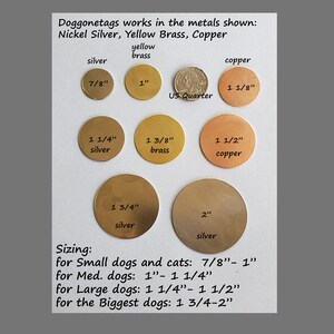 Dog ID Tag- Dog Tag- Pet Name Tag- Sun Dog ID Tag- Lots of Sunshine- XL ...