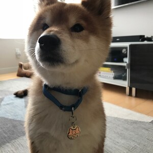 Dog Tag - Dog ID Tag - Pet Tag - Dog Tags Custom-shiba Inu - Breed Tag ...