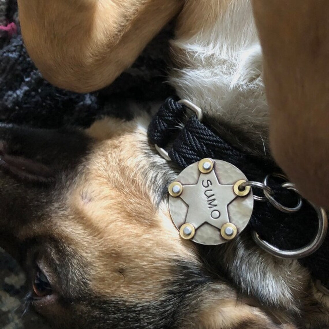Sheriff Star Tag -pet ID Tag- Mixed Metal Ranger Star for Dogs-cute ...