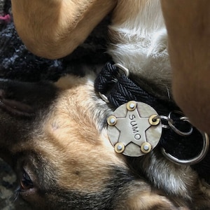 Sheriff Star Tag -pet ID Tag- Mixed Metal Ranger Star for Dogs-cute ...