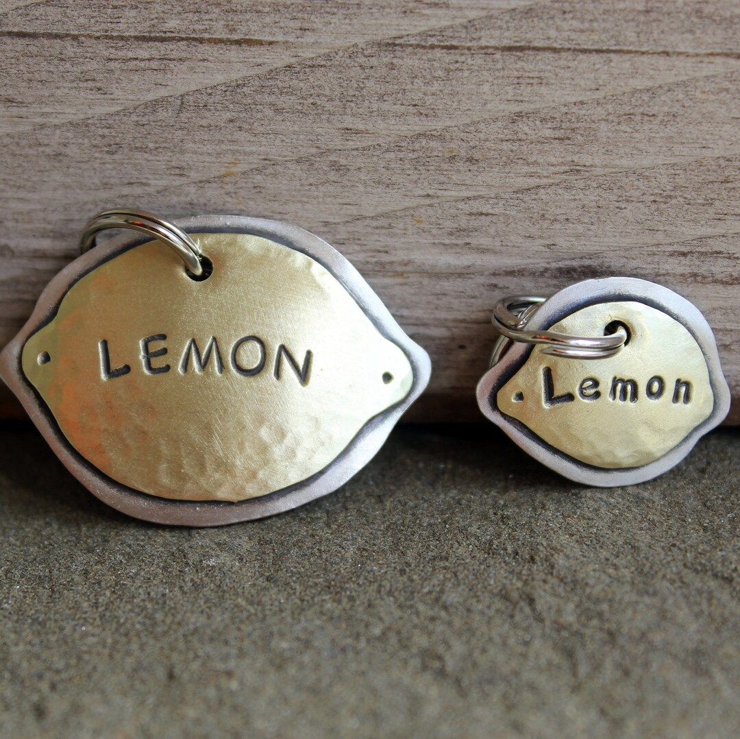 Lemon Personalized Pet Id Tag for the Big Pooches - Etsy