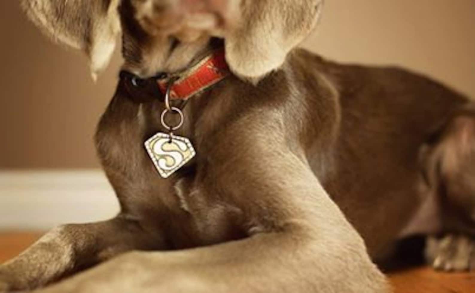 DOG Tag-dog Id Tag-pet Tag-pet Id Tag-dog Tags for Dogs-superman Dog ...