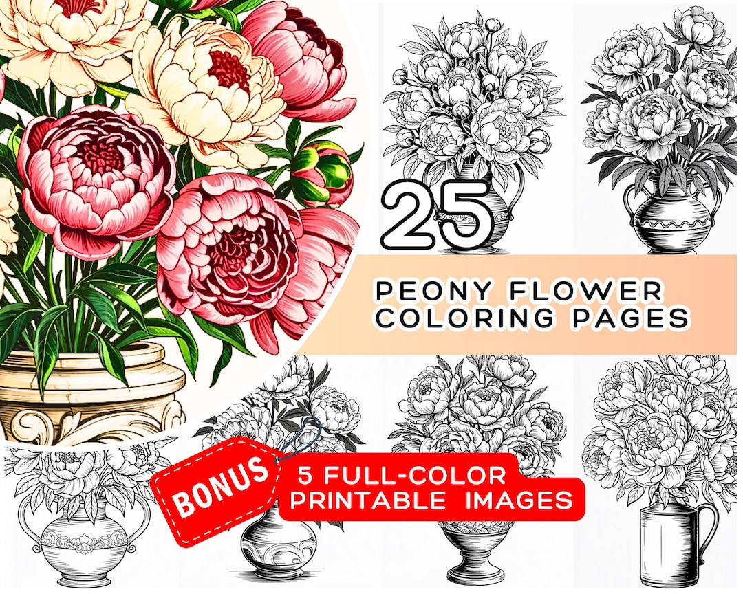 Peony Flower Coloring Pages - 25 Dark + 25 Light + 5 Color Printable ...