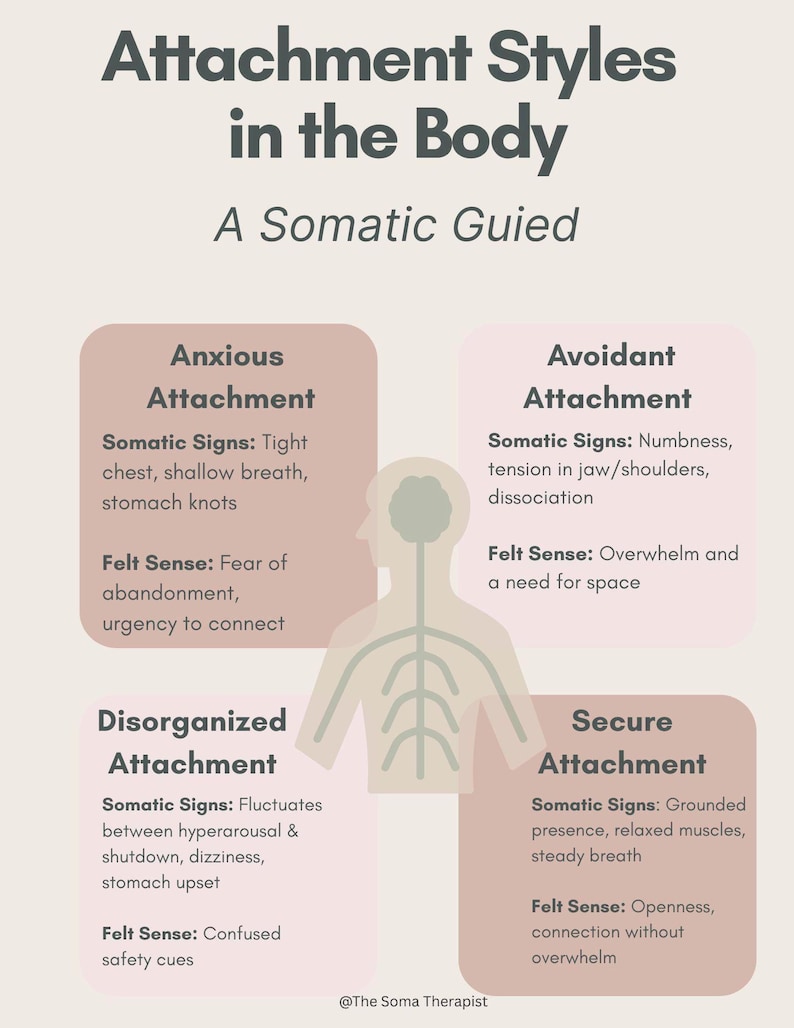 Attachment Styles in the Body | Somatic Therapy Poster | Nervous System ...
