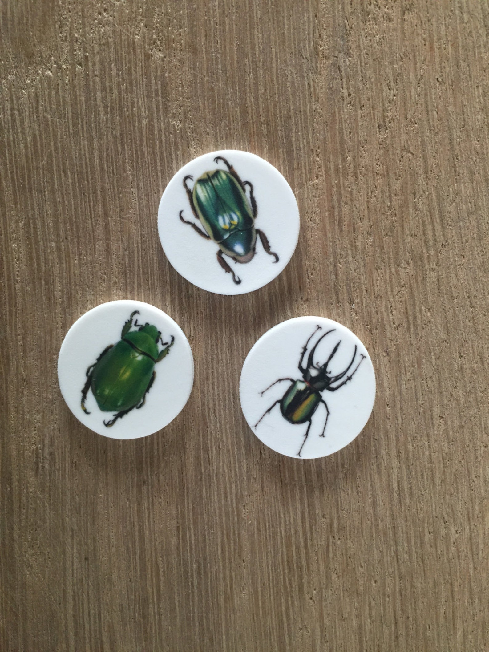 Insect Bug Brooch Pin Set Bug Brooch Set Gift for Men - Etsy