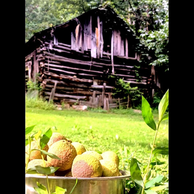 Black Box to Ship - Etsy