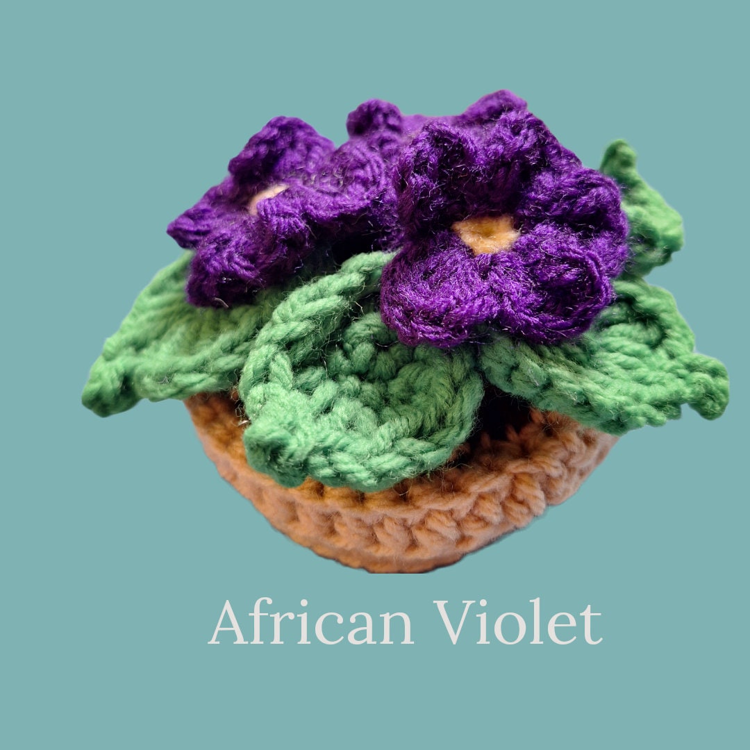 Crochet African Violet Pot, African Violet Flower, African Violet ...