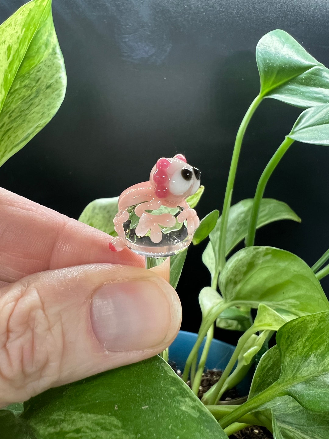 Axolotl Plant Stake Houseplant Stick Garden Stakes House Plant Markers ...