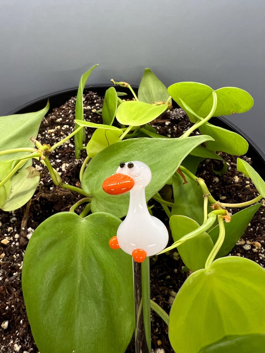 Goose Plant Stake Houseplant Stick Garden Stakes House Plant Markers ...