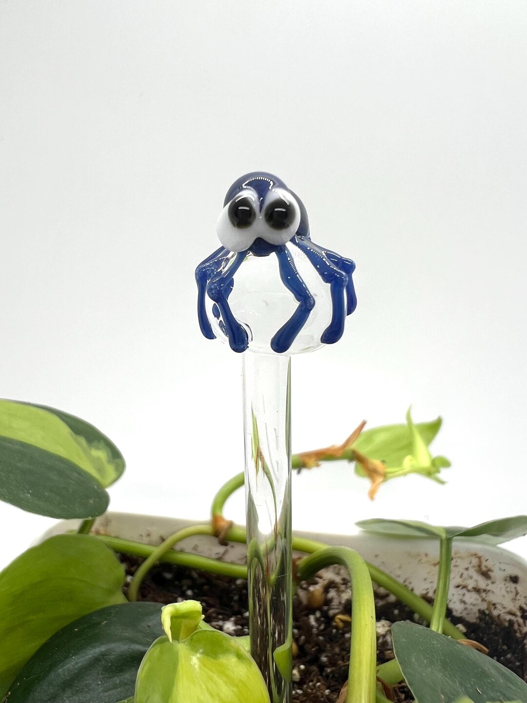 Purple Spider Plant Stake Houseplant Stick Garden Stakes House Plant ...