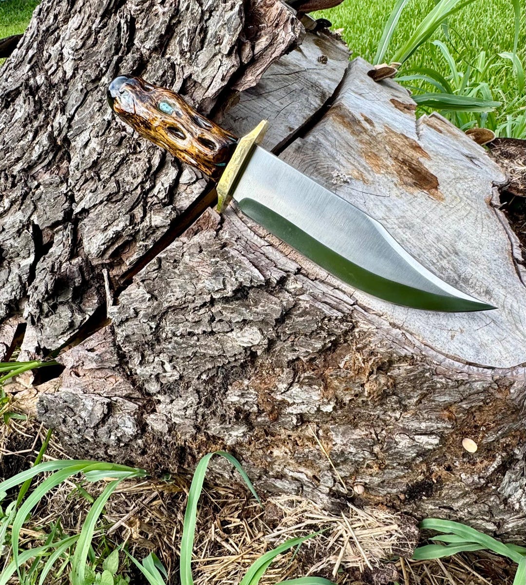 Stainless Steel Fixed Blade Bowie Knife With Custom Cholla Wood Handle ...